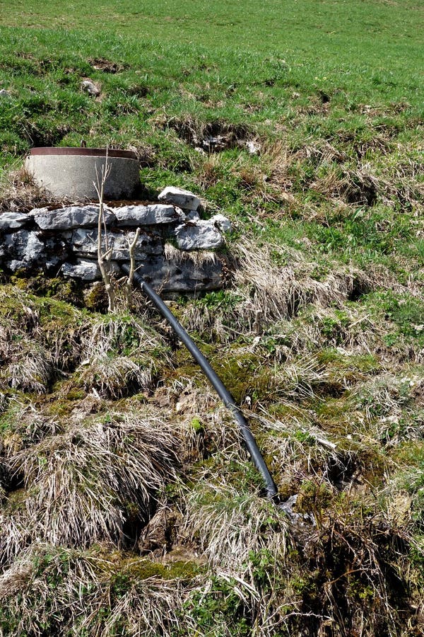 Rustic Developed Mountain Artesian Spring Stock Photo - Image of ...