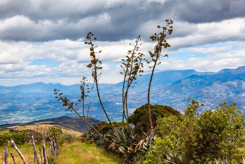 Rustic dirt road stock image. Image of remote, field - 149914127