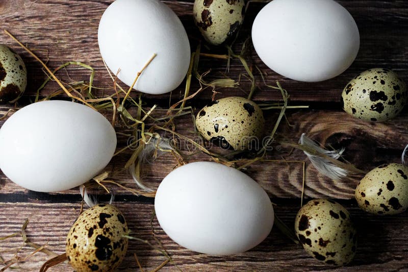 Rustic Display of Chicken and Quail Eggs Stock Image - Image of eggs ...