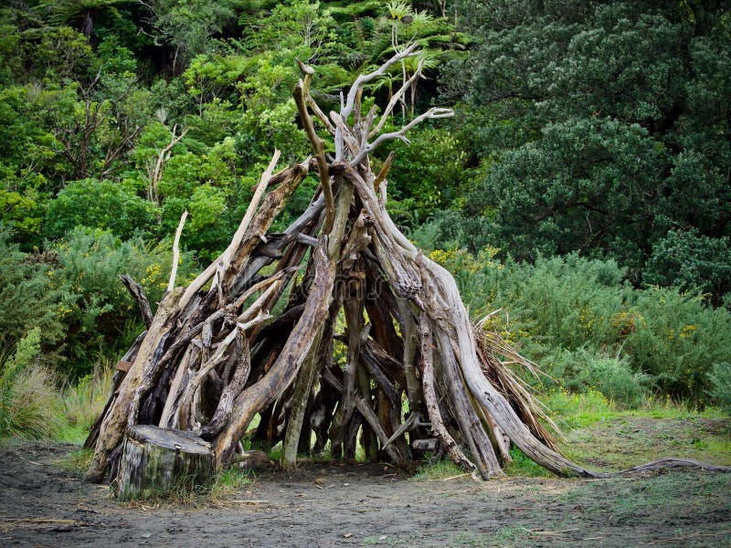 Rustic Driftwood Structure in Forest Stock Photo - Image of foliage ...