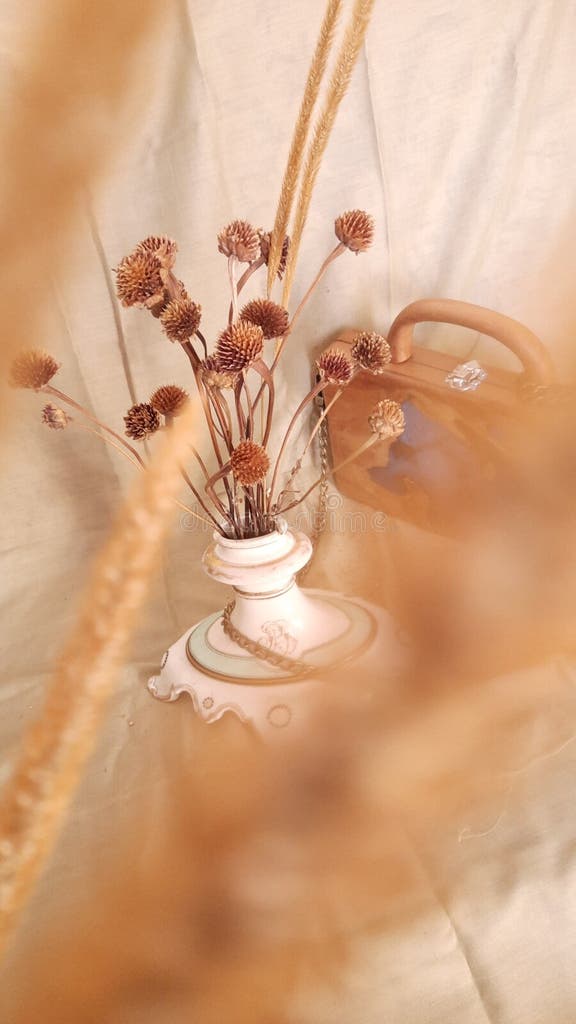 Rustic dried flower stock image. Image of sataria, driedflower - 219155211