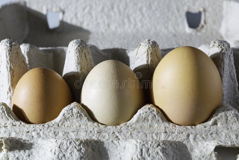 Rustic Eggs in the Package by the Rays Morning Sun. Ready To Breakfast ...