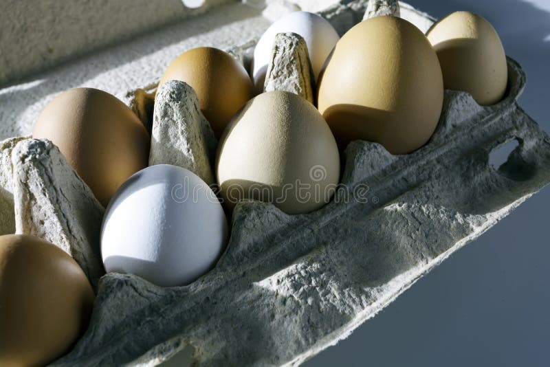 Rustic Eggs in the Package by the Rays Morning Sun. Ready To Breakfast ...