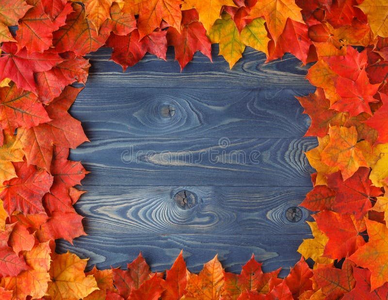 Rustic fall setting stock image. Image of corn, outdoor - 11939445