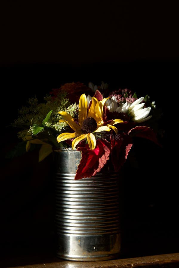 Rustic Fall Flowers in Sunlight Stock Image - Image of daisy, light ...