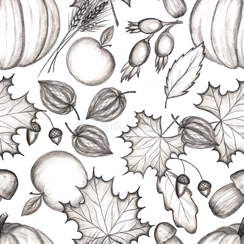 Autumn Pencil Drawing