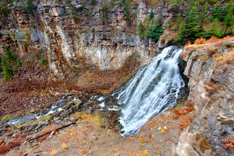 Yellowstone National Park Wildflowers Stock Photo - Image of national ...