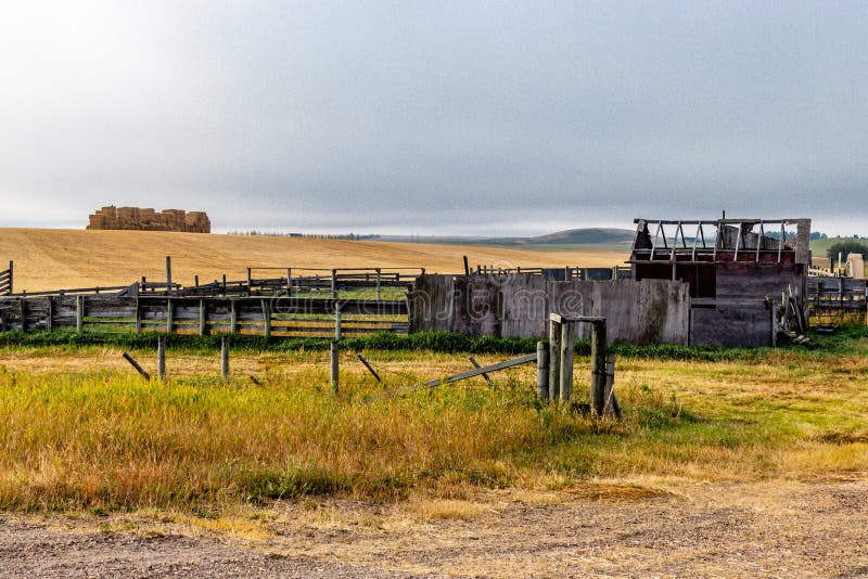 Rustic Farm Buildings in a Field. Rockyview County, Alberta, Canada ...