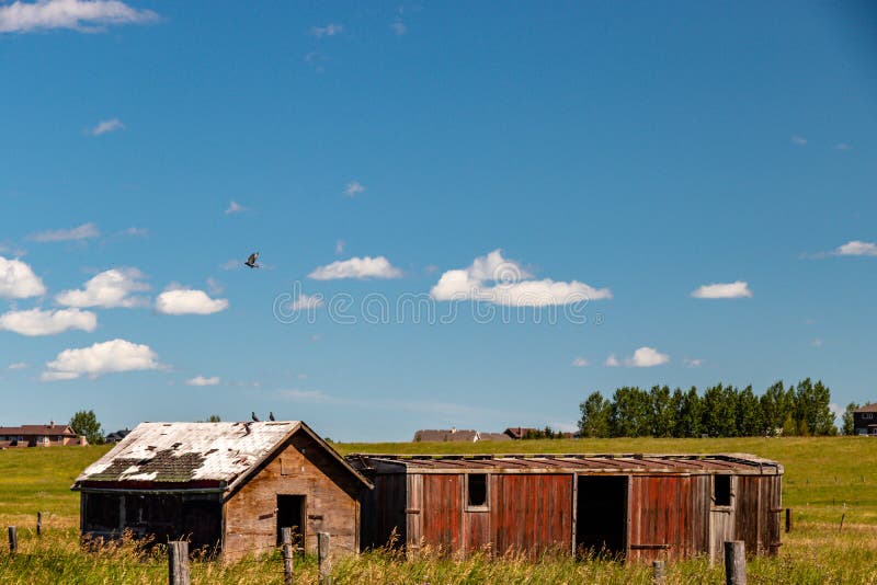 Rustic Farm Buildings in a Field. Rockyview County, Alberta, Canada ...
