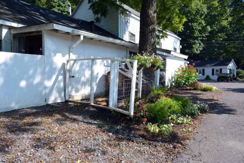 Rustic Farm in Countryside stock photo. Image of driveway - 77729764