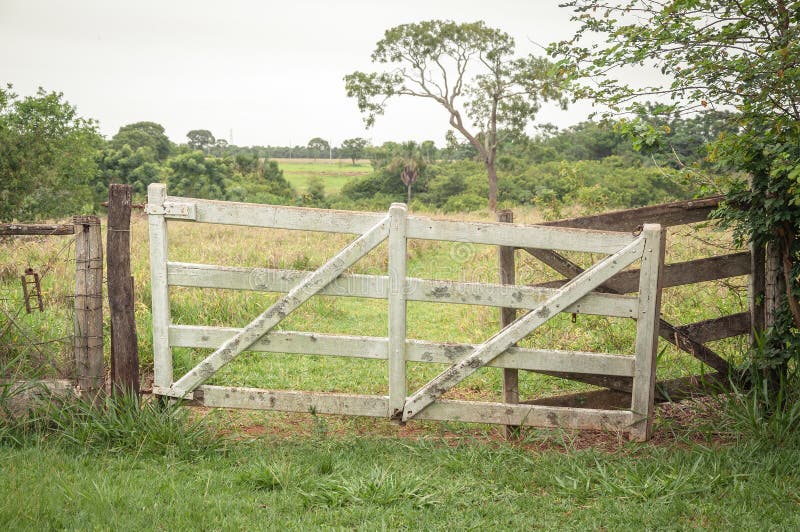 Rustic Farm Gate Made with Wooden Boards Stock Photo - Image of green ...