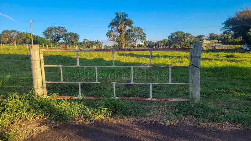 Rustic Farm Gate and Pasture Scene Stock Photo - Image of trees ...