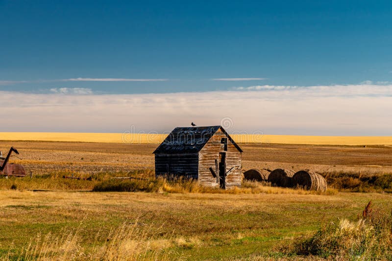Rustic Farm Out Buildings. Kneehill County, Alberta, Canada Stock Photo ...