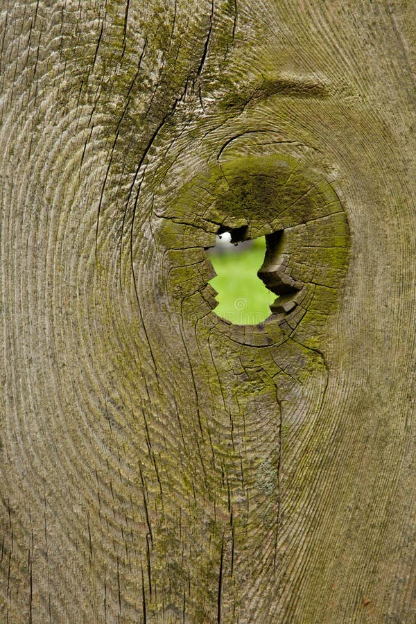 Rustic Fence with Knothole stock photo. Image of knothole - 9491118