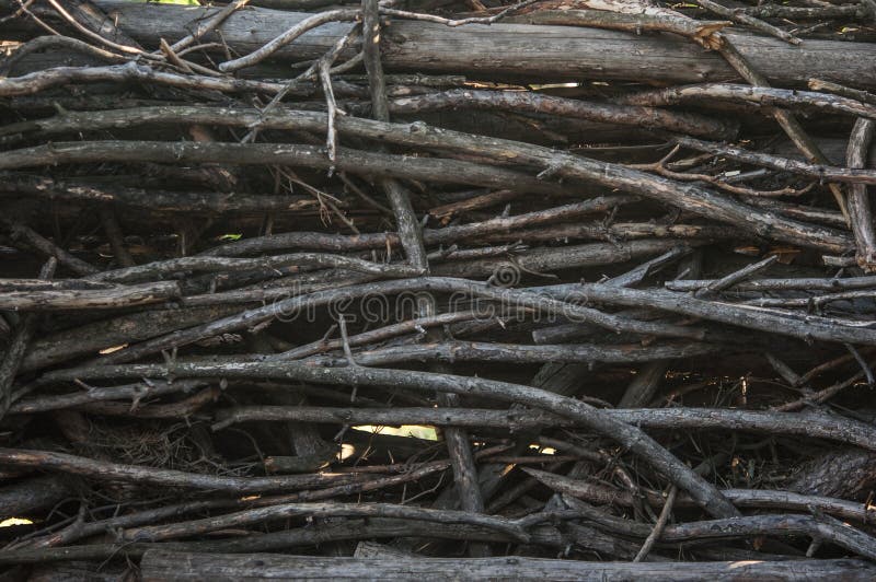 Rustic Fence Made with Tree Branches Stock Image - Image of handmade ...