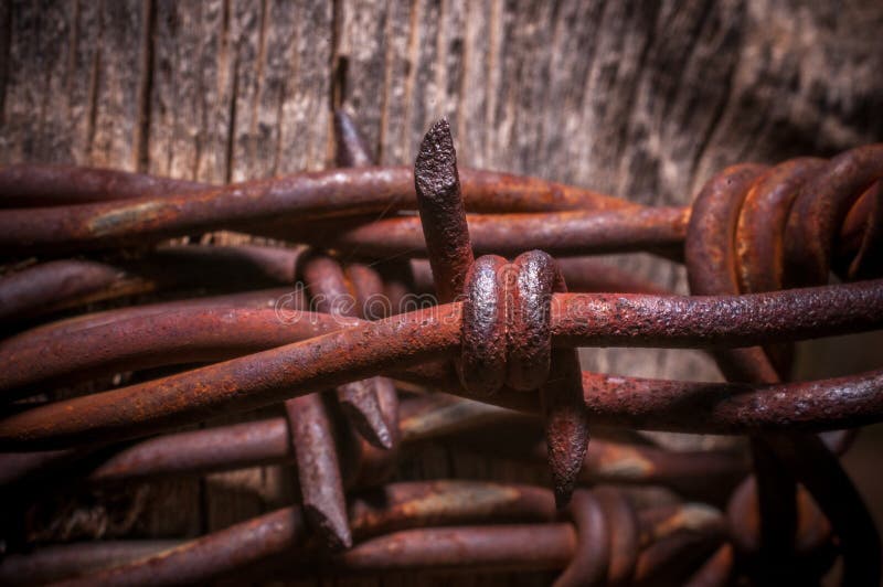 Rustic Fence Post with Barbed Wire Stock Photo - Image of beauty ...
