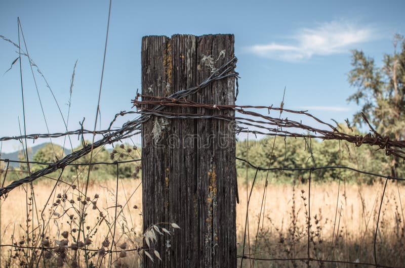 Rustic Fence stock photo. Image of wooden, post, farm - 23875594