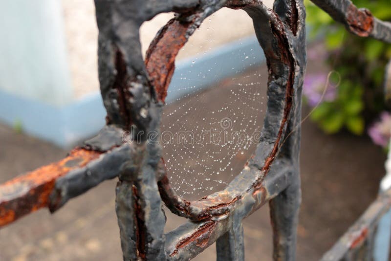 Rustic Fence with Spiderweb Stock Image - Image of outdoor, vintage ...