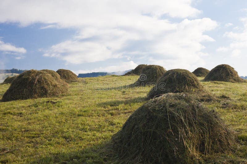 Rustic field stock image. Image of beauty, farm, rural - 15656319