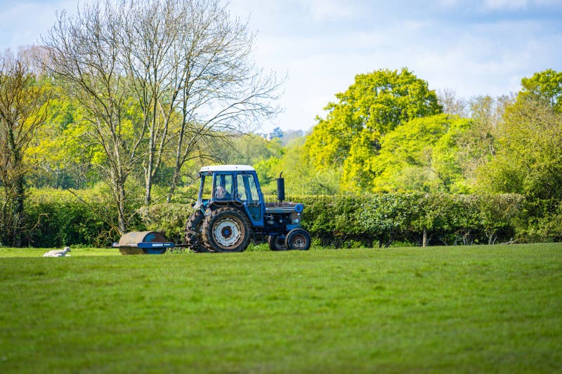 Rustic Fields Vintage Tractor and Grazing Sheep Stock Image - Image of ...