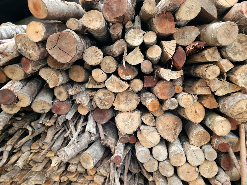 Rustic Firewood Arrangement for Cozy Atmosphere Visuals Stock Photo ...