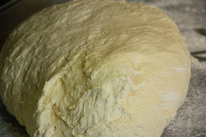 Traditional Bread Making Process: Raw Dough Prepared for the Oven Stock ...