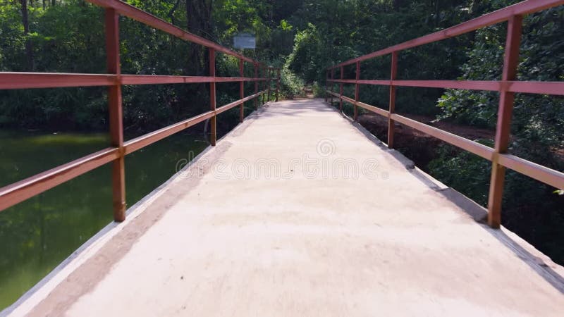 Rustic Footbridge Over a Tranquil River Surrounded by Lush Greenery in ...