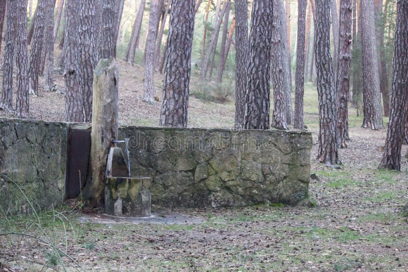 Rustic Fountain in the Forest for People Stock Photo - Image of thirst ...