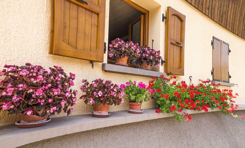 Rustic French windows stock photo. Image of french, flower - 68757600