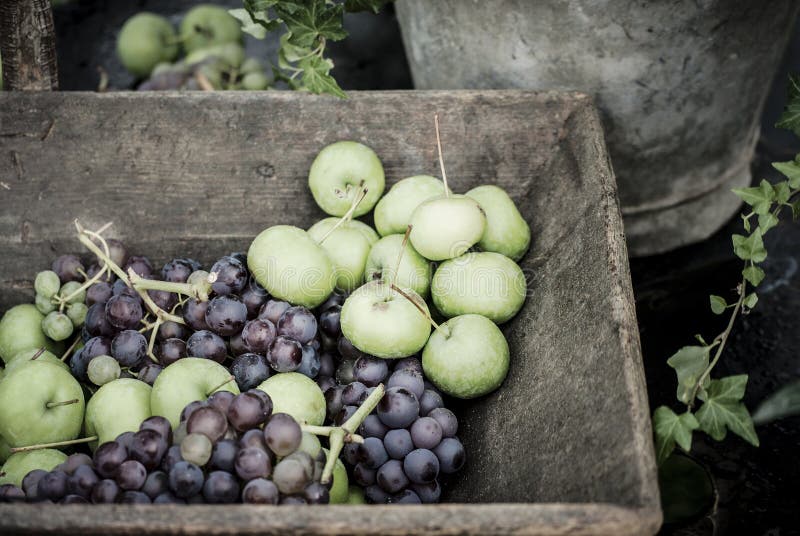 Rustic Fruit stock image. Image of local, lifestyle, brown - 38442787