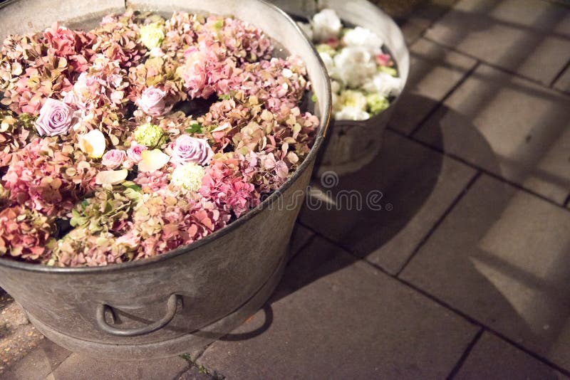 Rustic Galvanised Pails Filled with Summer Flowers Stock Photo - Image ...