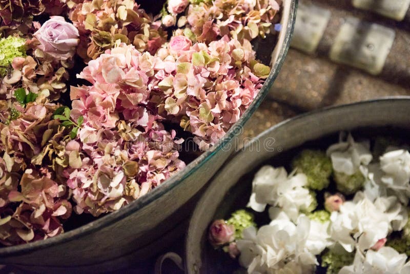Rustic Galvanised Pails Filled with Summer Flowers Stock Photo - Image ...