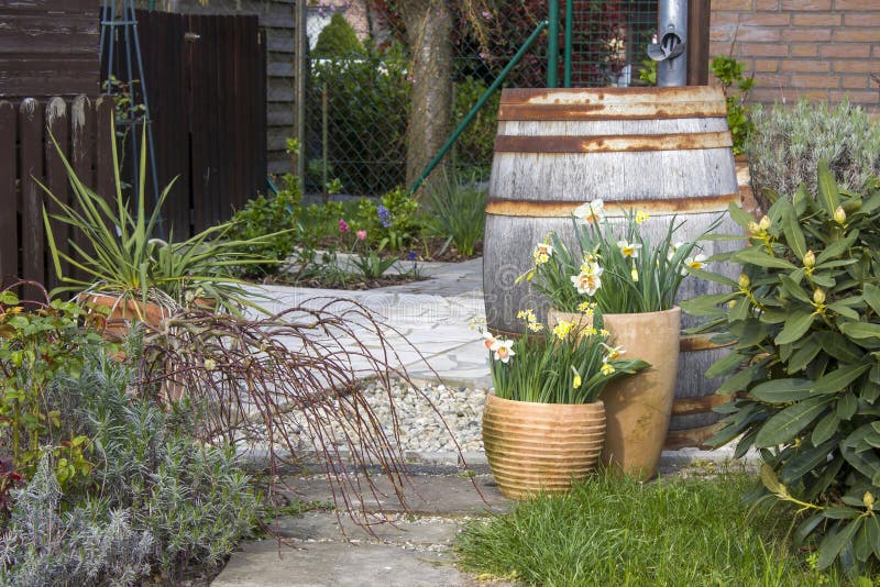 Rustic Garden - Blooming Spring Flowers Stock Photo - Image of ...