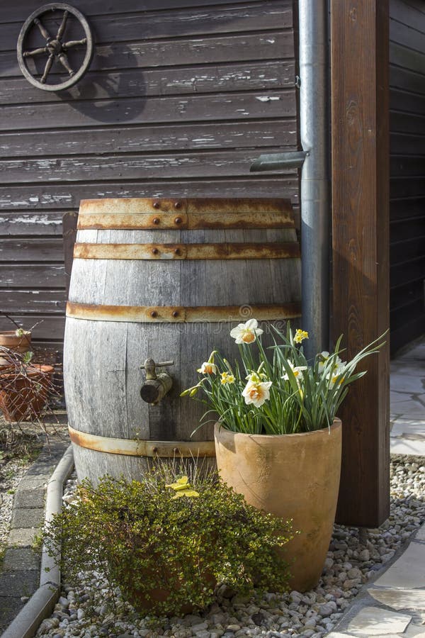 Rustic Garden - Rustic Garden - Blooming Spring Flowers Stock Image ...