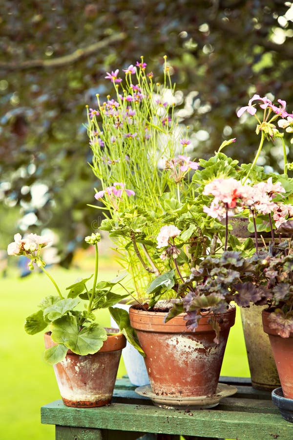 Rustic garden pots stock image. Image of setup, season - 33528943