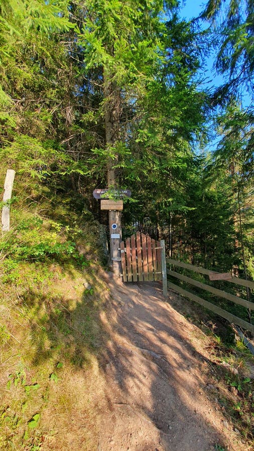 Rustic Gate on a Mountain Hiking Path Stock Photo - Image of forest ...