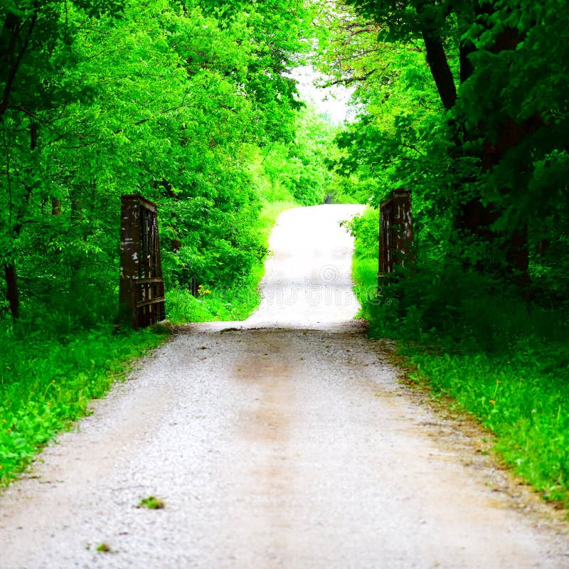 Country Path stock photo. Image of sunshine, surrounded - 117679352