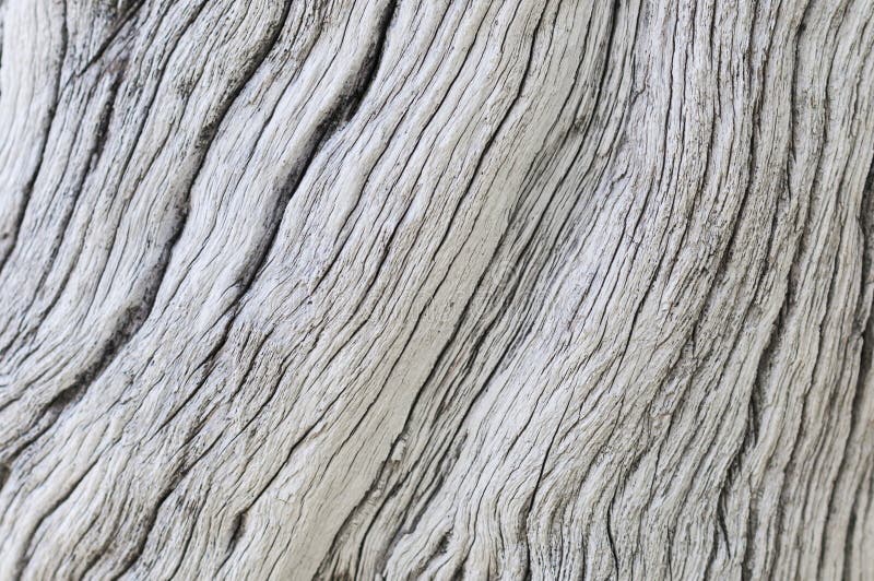 Old Rustic Gray Wood Seamless Pattern. Stock Image - Image of table ...