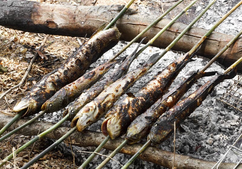 Rustic grilled fish stock image. Image of grill, barbecue - 79561777