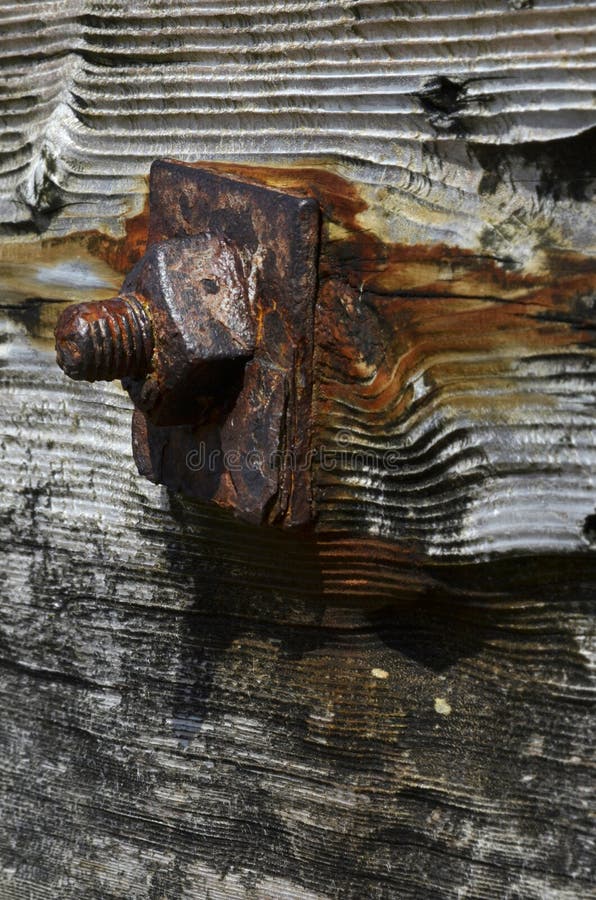 Rustic Groin Bolt stock image. Image of crowe, wood - 344759731