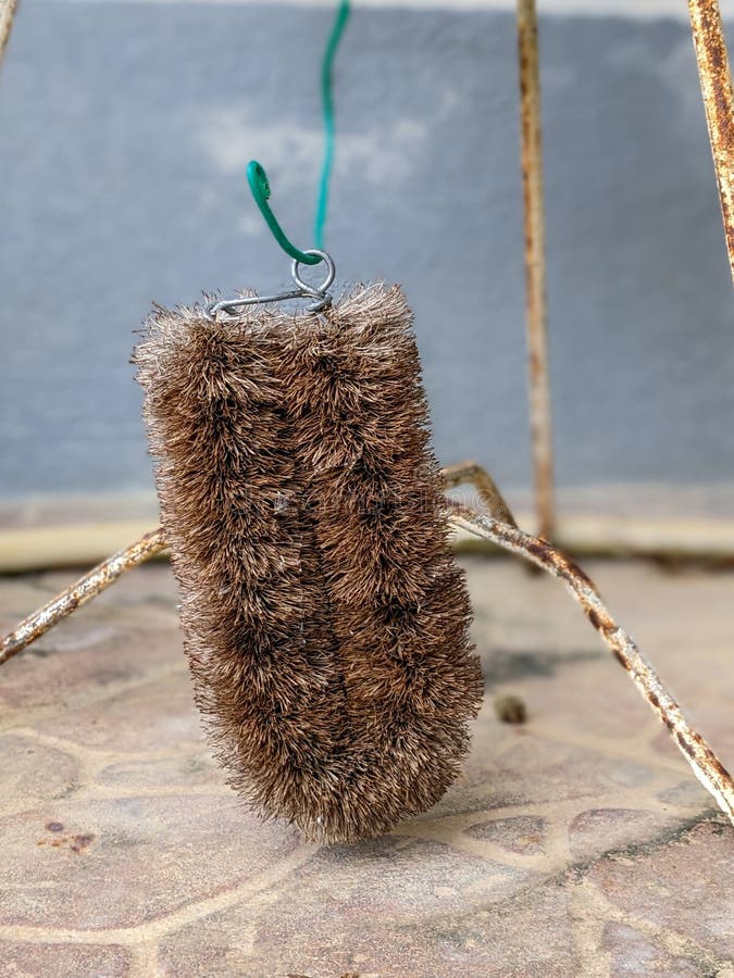 Rustic Hanging Coconut Fiber Scrubber Stock Photo - Image of fiber ...