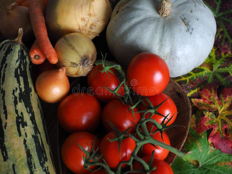 Rustic Harvest Autumn/Winter Vegetables Stock Photo - Image of winter ...