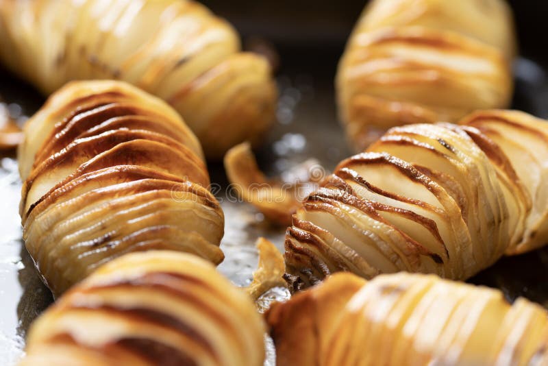 Rustic Hasselback Baked Potatoes Stock Image - Image of side, dish ...