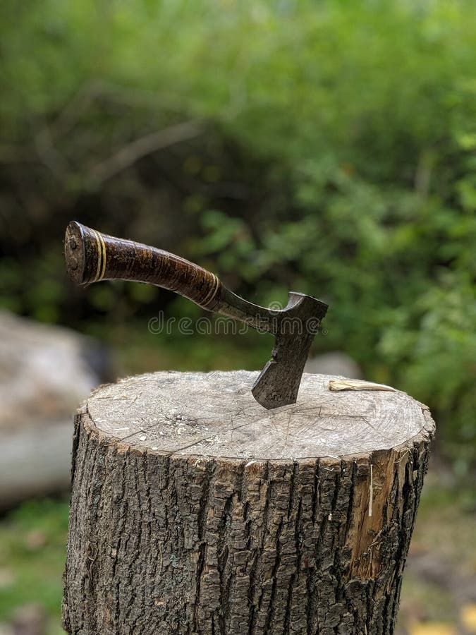 A Rustic Hatchet Embedded in a Wooden Stump Outdoors in a Forest ...