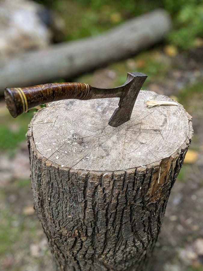 A Rustic Hatchet Embedded in a Wooden Stump Outdoors in a Forest ...
