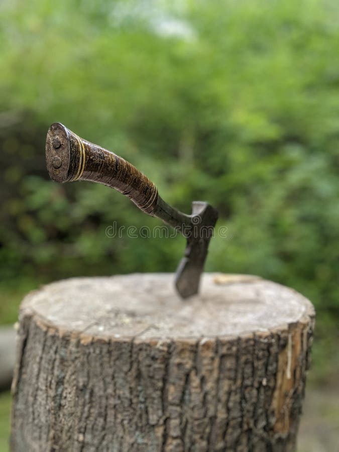 A Rustic Hatchet Embedded in a Wooden Stump Outdoors in a Forest ...