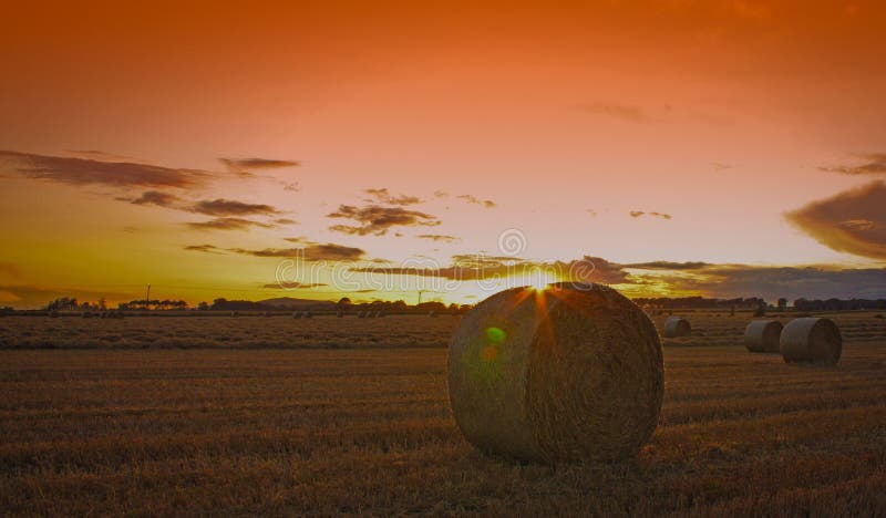 Rustic haybale stock photo. Image of dawn, agriculture - 275086830
