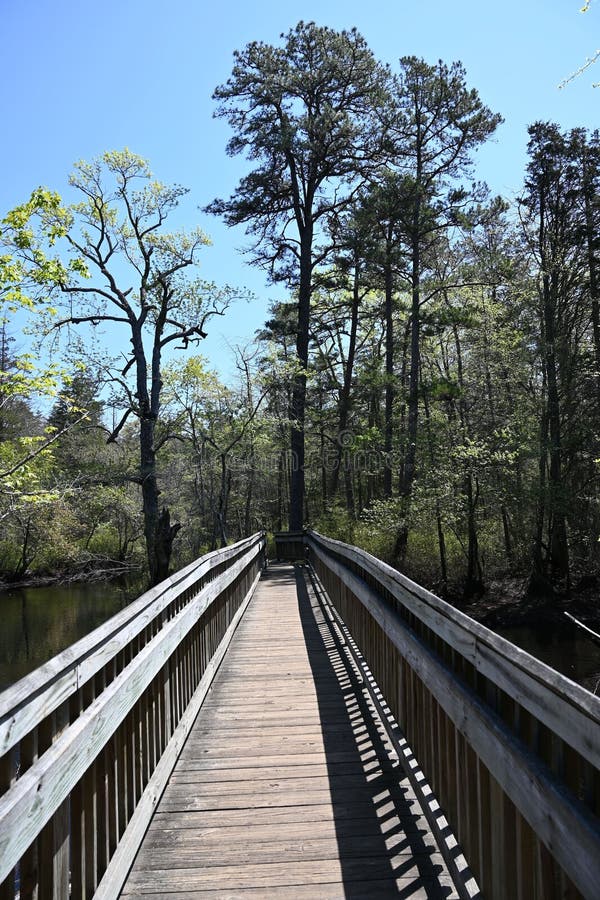 Rustic Hiking Bridge stock photo. Image of rustic, wilderness - 183102952
