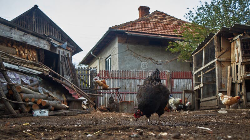 Rustic home from eastern stock image. Image of wood - 202028029