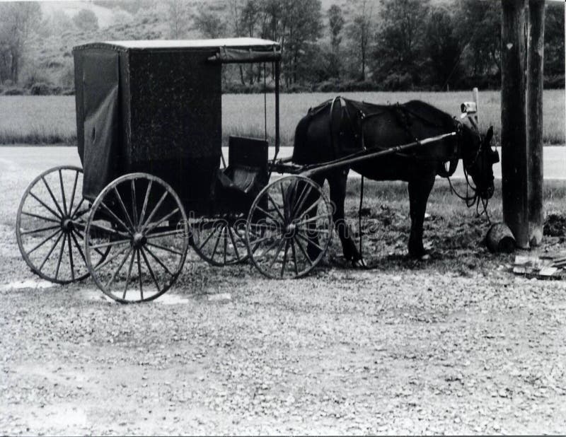 Rustic Horse and Carriage stock photo. Image of carriage - 8860498